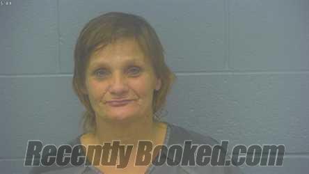 Recent Booking / Mugshot for ROBIN RAE OWENS in Greene County, Missouri