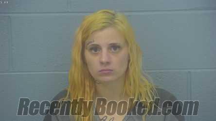 Recent Booking / Mugshot for SELENA LEE MCKEE in Greene County, Missouri