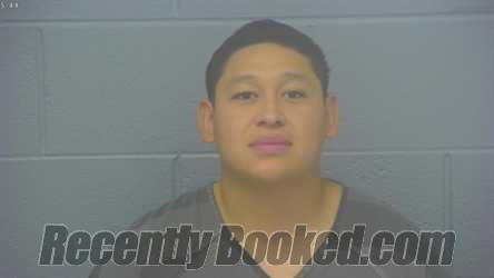 Recent Booking / Mugshot for SEBASTIAN NORATO in Greene County, Missouri