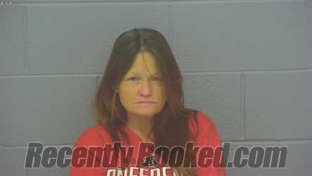 Recent Booking / Mugshot for TERRI ANN MOSES in Greene County, Missouri