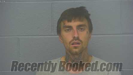 Recent Booking / Mugshot for WILLIAM JACOB NELSON in Greene County ...
