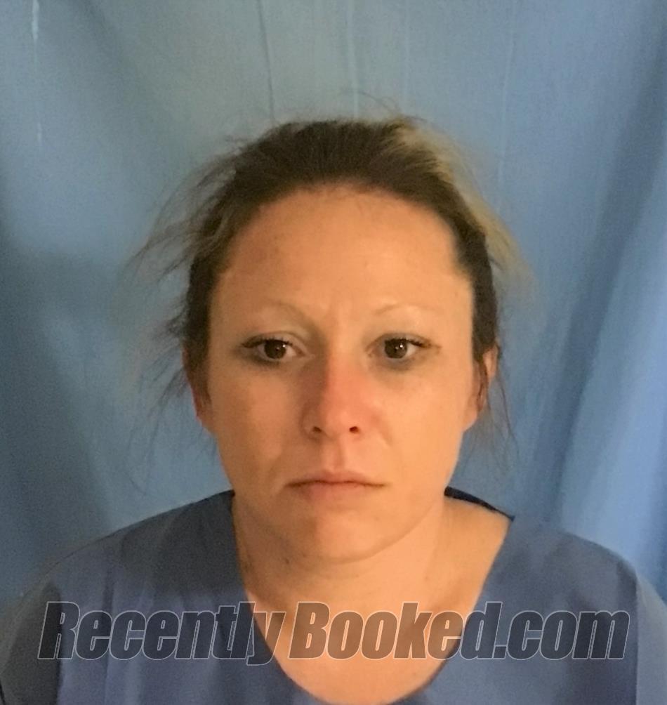 Recent Booking / Mugshot for CHRYSTAL LARUE SHIMEK in Henry County ...