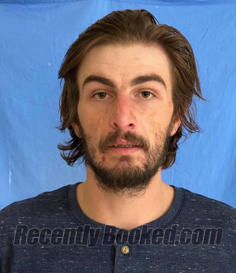 Recent Booking / Mugshot for DREW MICHAEL ALEX TOSTE in Henry County ...