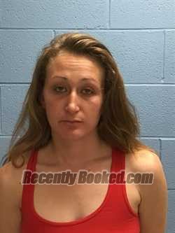 ELIZABETH OLIVIA FAYE RYBOLT Arrest Record & Booking Info – Henry ...