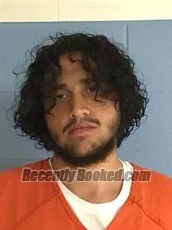 Recent Booking / Mugshot for HADEN MICHEAL VANTINE in Henry County ...