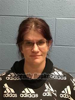 Recent Booking / Mugshot for JAMIE LYNNE WARE in Henry County, Missouri