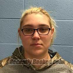 Recent Booking / Mugshot for SAMANTHA NICOLE SMITH in Henry County ...