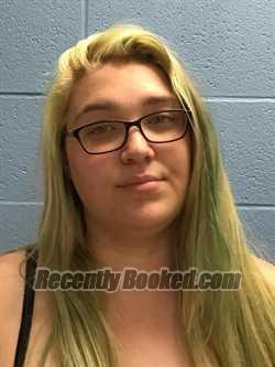 Recent Booking / Mugshot for SAMANTHA NICOLE SMITH in Henry County ...