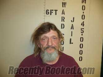 Recent Booking / Mugshot for STEVEN EDWARD WOODARD in Howard County ...