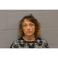MAHALEY OVERSHINER Arrest Record & Booking Info – Johnson County ...