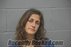 Recent Booking / Mugshot for Ashley Nicole Reardon in Johnson County ...