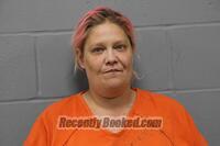 Recent Booking / Mugshot for MANDY MARIE WELCH in Johnson County, Missouri