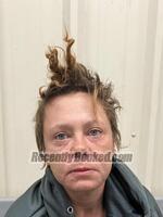 ROBIN GEAN HANKINS Arrest Record & Booking Info – Johnson County ...