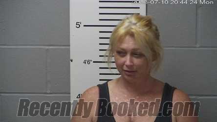 AMBER M PEARSON Arrest Record & Booking Info – Lincoln County, Missouri ...