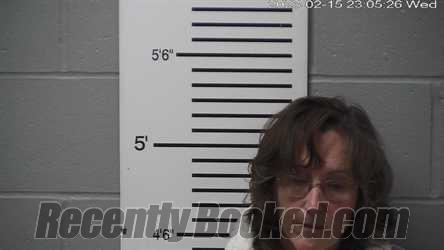 Recent Booking / Mugshot for HOLLY RENE FIELDS in Lincoln County, Missouri