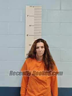 Recent Booking / Mugshot for JENNIFER N EDELEN in Lincoln County, Missouri