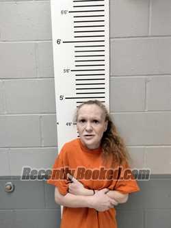 Recent Booking / Mugshot for JENNAFER MARIE POTTS in Lincoln County ...
