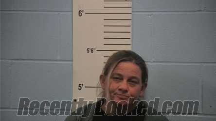 Recent Booking / Mugshot for TRICIA DANIELLE WHALEY in Lincoln County ...