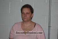 Recent Booking / Mugshot for Melody Ann Nichols in Livingston County ...