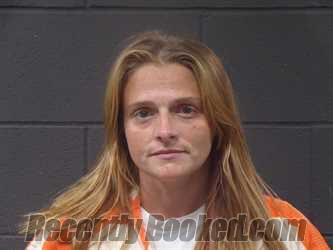 Recent Booking / Mugshot for Amanda Michelle Mefford in McDonald County ...