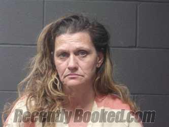 Recent Booking / Mugshot for Crystal Gaye Scott in McDonald County ...