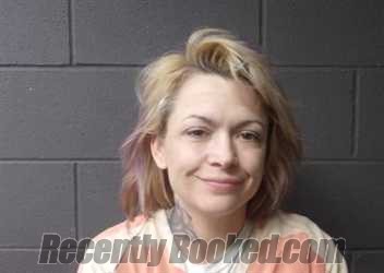 Recent Booking / Mugshot for Erica Fay Lundy in McDonald County, Missouri