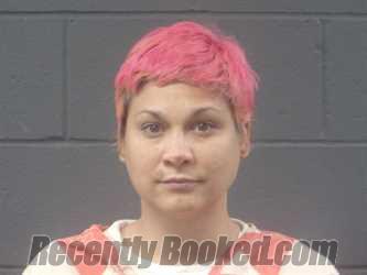 Recent Booking / Mugshot for Laura Lynn Zinke in McDonald County, Missouri