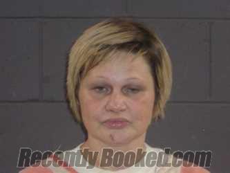 Recent Booking / Mugshot for Stacey Renee Brown in McDonald County ...