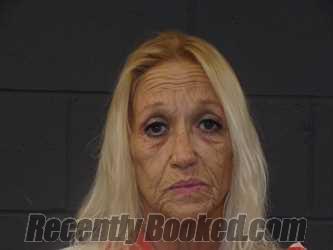 Recent Booking / Mugshot for Tamera Brown Davidson in McDonald County ...