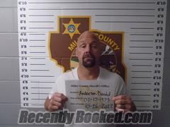 Recent Booking / Mugshot for David Anderson in Miller County, Missouri