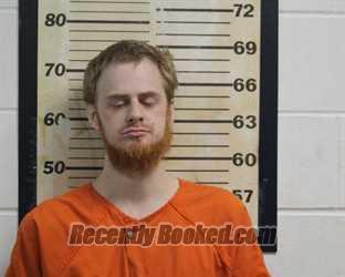 Recent Booking / Mugshot for CAMERON WADE JARVIS in Mississippi County ...