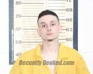 Recent Booking / Mugshot for HUNTER ALLEN HARTMAN in Mississippi County ...