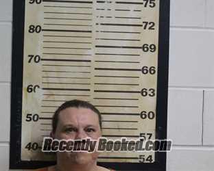 Recent Booking / Mugshot for JESSICA LEE BEESON in Mississippi County ...