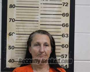 Recent Booking / Mugshot for DONNA MICHELLE HOOD in Mississippi County ...