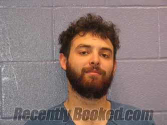 Recent Booking / Mugshot for ELIJAH MARIO FERNANDEZ in Andrews County ...