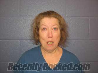 Recent Booking / Mugshot for HOLLIE MICHELLE ROBICHAUX in Andrews ...