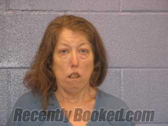 Recent Booking / Mugshot for HOLLIE MICHELLE ROBICHAUX in Andrews ...