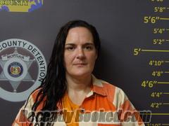 Recent Booking / Mugshot for ABRA SUZANNE STONE in Morgan County, Missouri