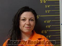 Recent Booking / Mugshot for KRISTA JOLYN HUDDLESTON in Morgan County ...