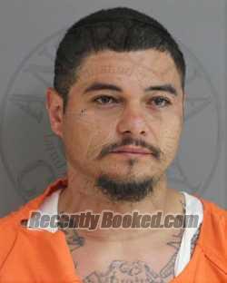 Recent Booking / Mugshot for ANDREW DELL WAY in Angelina County, Texas