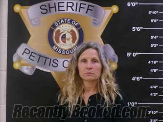 Recent Booking / Mugshot for RENEE FORTUNE in Pettis County, Missouri