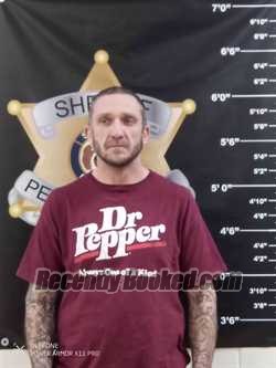 Recent Booking / Mugshot for STEVEN HALTER in Pettis County, Missouri