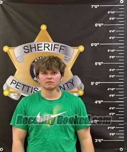 Recent Booking / Mugshot for IVAN BANUELOS in Pettis County, Missouri