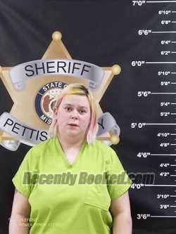 Recent Booking / Mugshot for AMANDA HOWARD in Pettis County, Missouri