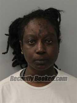 Recent Booking / Mugshot for NICOLE N/A BROWN in Phelps County, Missouri