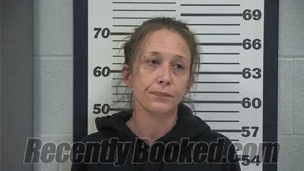Recent Booking / Mugshot for AMY MACLEOD in Platte County, Missouri