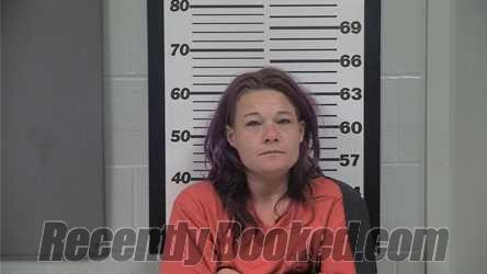 Recent Booking / Mugshot for ELIZABETH ANNE EDWARDS in Platte County ...