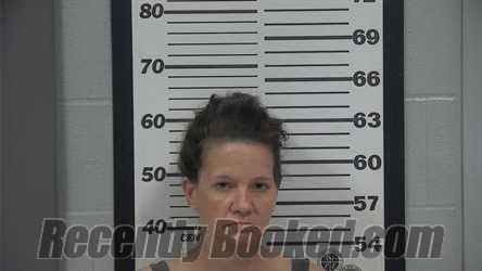 Recent Booking / Mugshot for JESSICA E STEPHENS in Platte County, Missouri