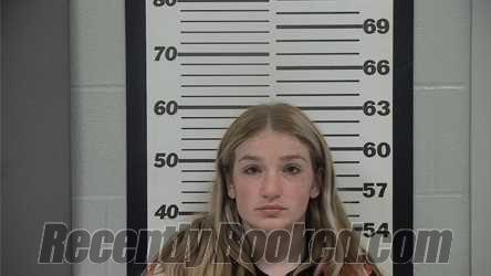 LILLY BROWER Arrest Record & Booking Info – Platte County, Missouri ...
