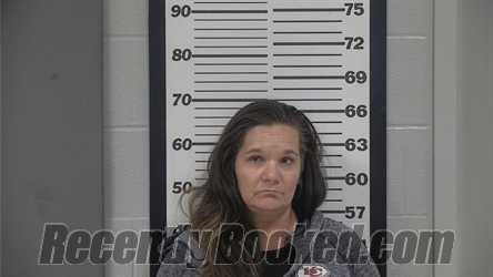 Recent Booking / Mugshot for LISA M COHEN in Platte County, Missouri
